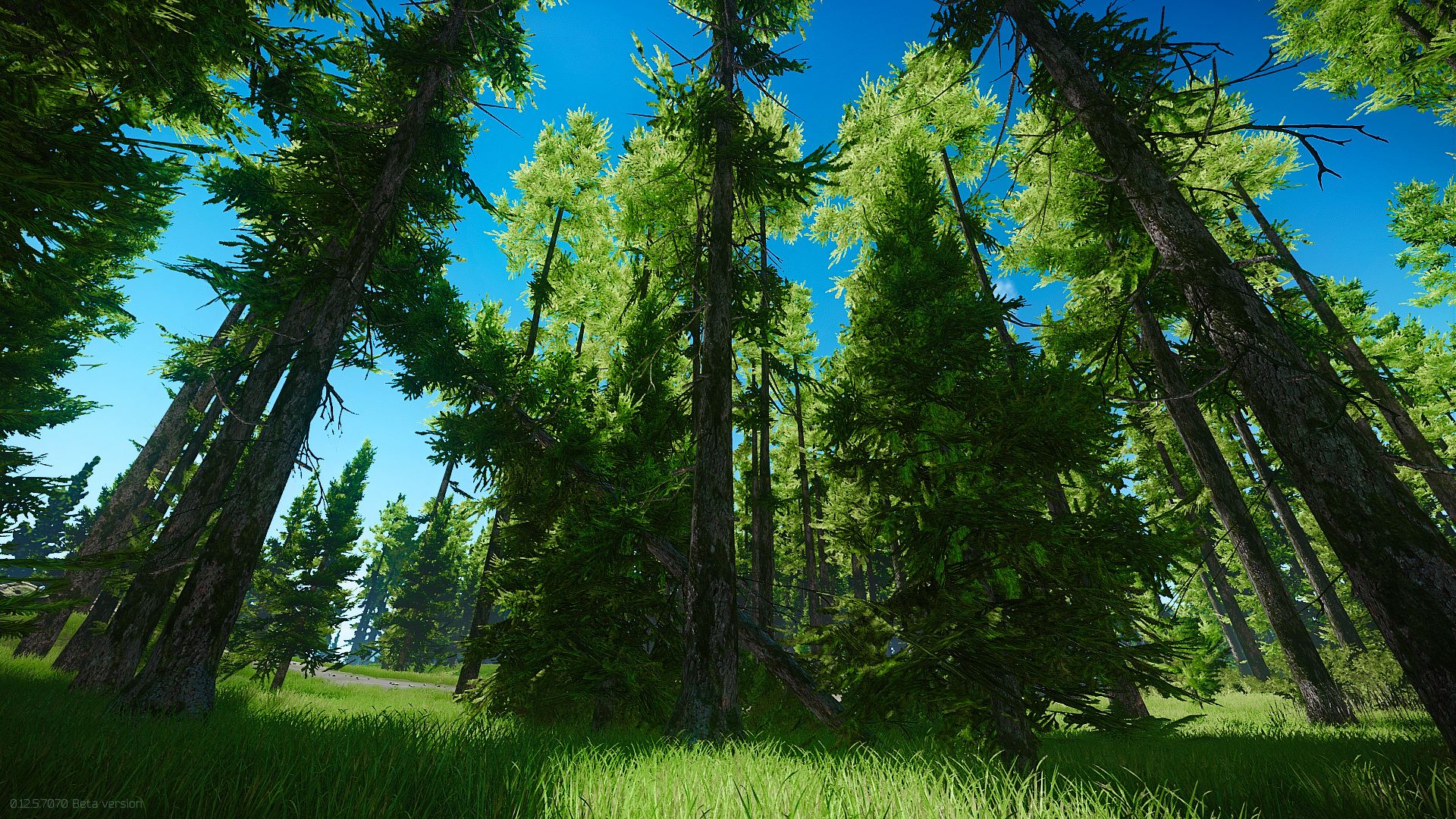 Escape From Tarkov | Woods| Extractions, Boss & Details